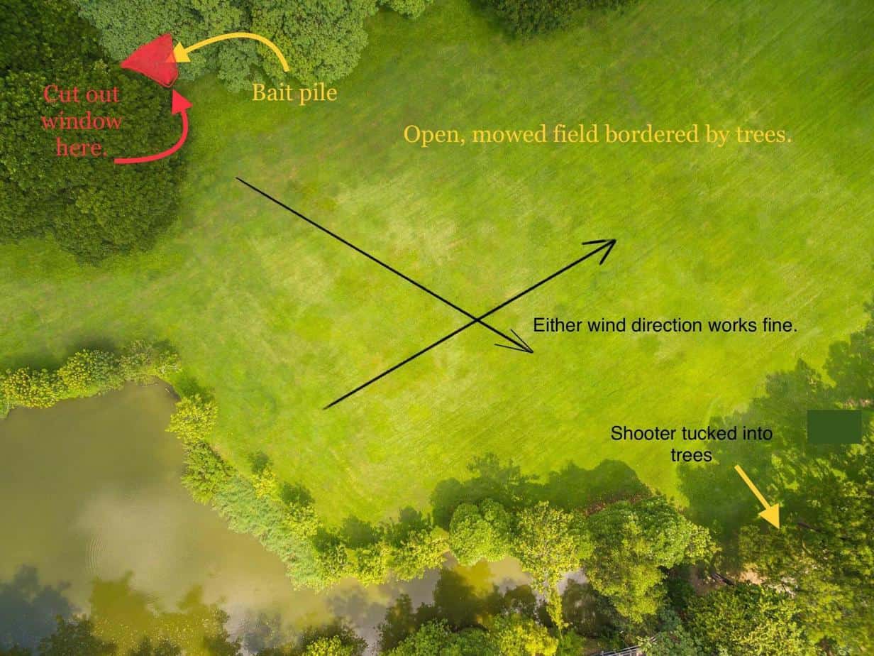 Secrets of the Perfect Coyote Bait Pile The Predator Hunter