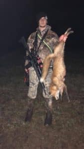 Fox Calling Tips For New Predator Hunters