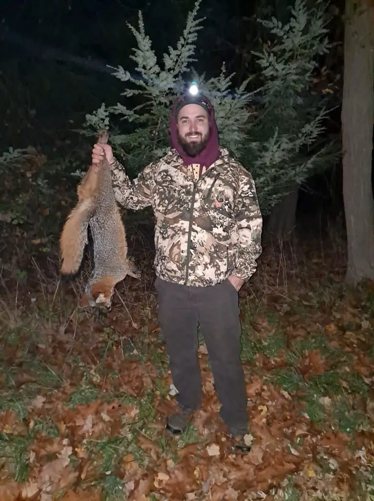Fox Calling Tips For New Predator Hunters