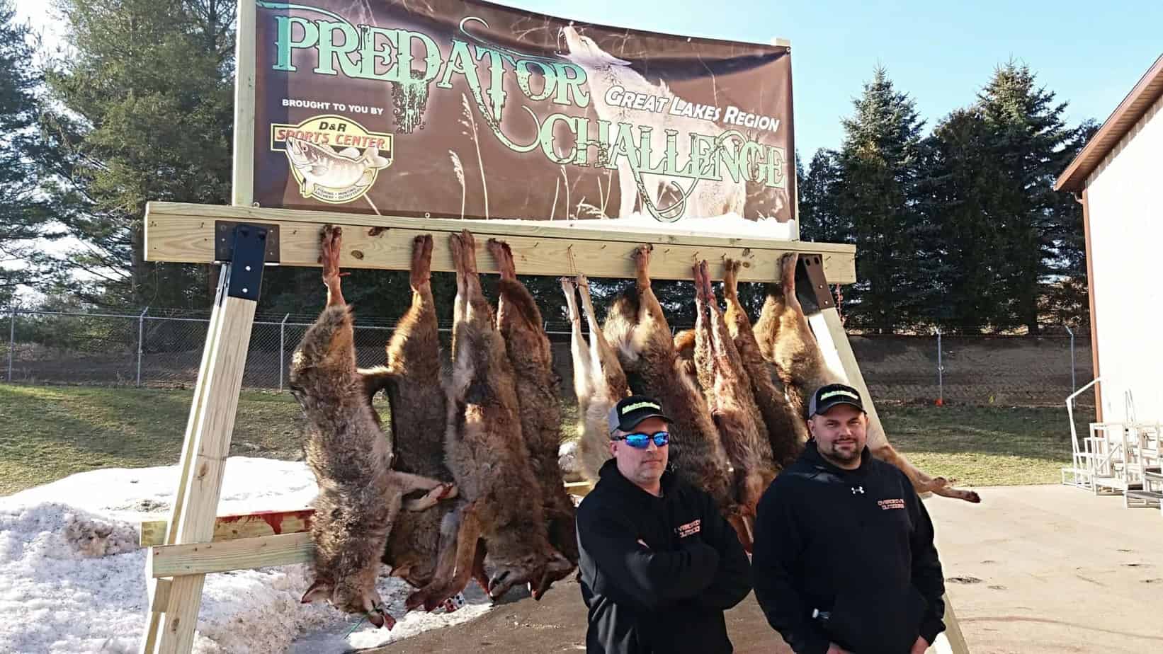 Coyote Calling Sounds Your Successful “Pals” Keep Secret.