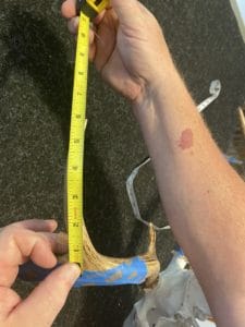 How to Score a Buck and Measure a Rack - The Predator Hunter